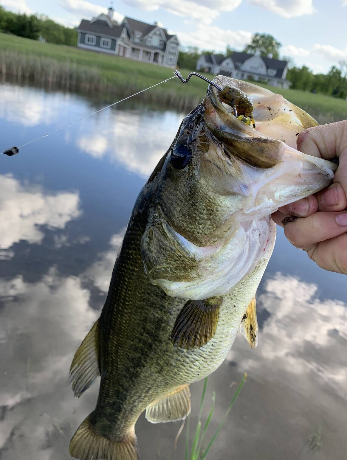 Reel Ray | Reel Ray Fishing